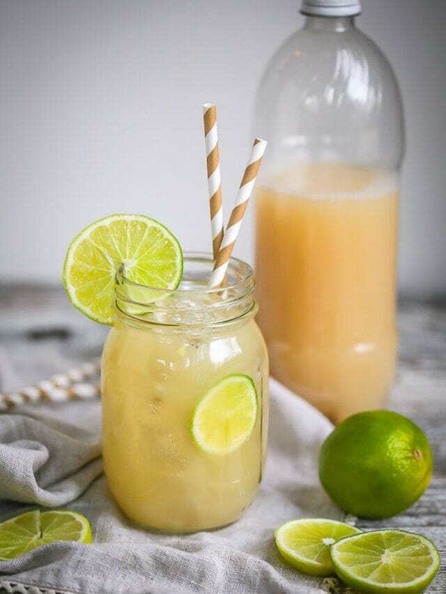 Homemade Ginger Beer Story - What Should I Make For...